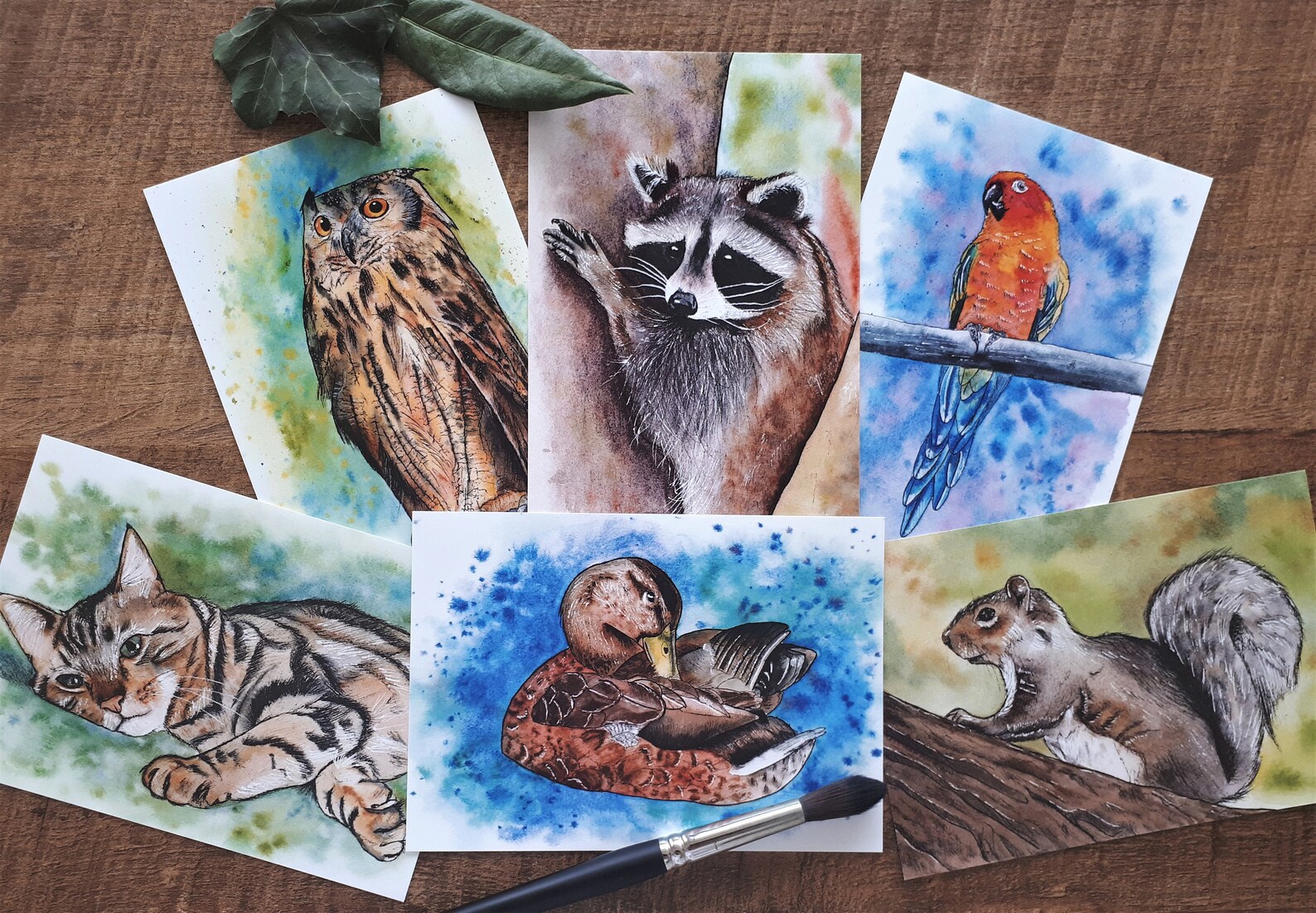 Nature Inspired Postcards (set of 6) - Etsy