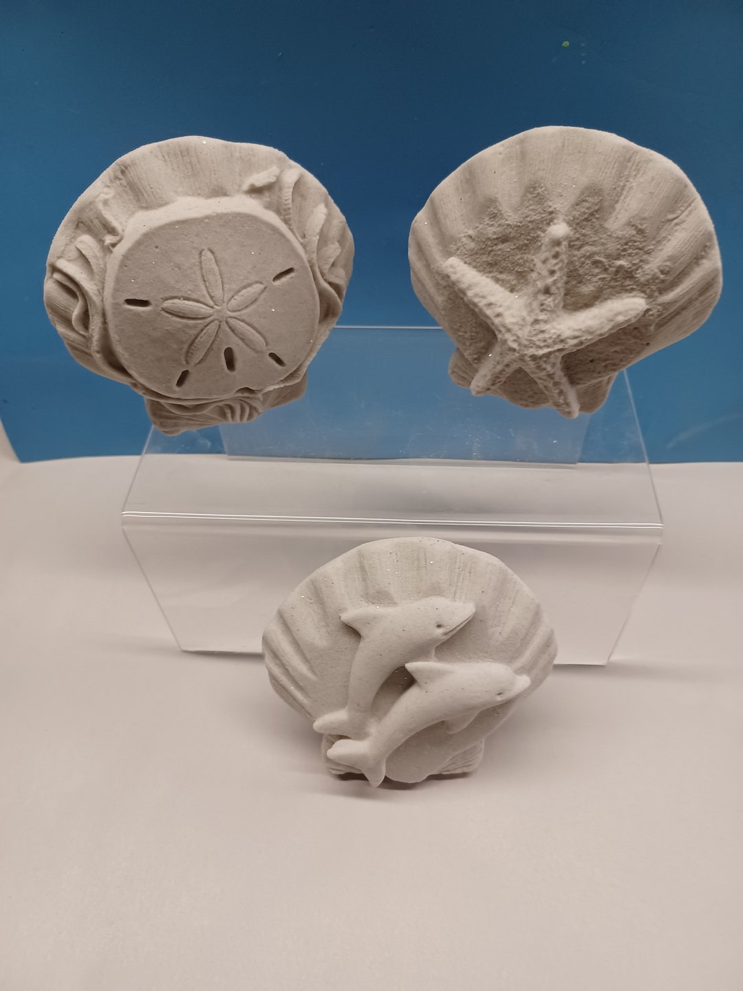 Souvenir Plaque Sand Dollar/star Fish/dolphin - Etsy