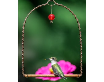 Hummingbird Swing - Etsy