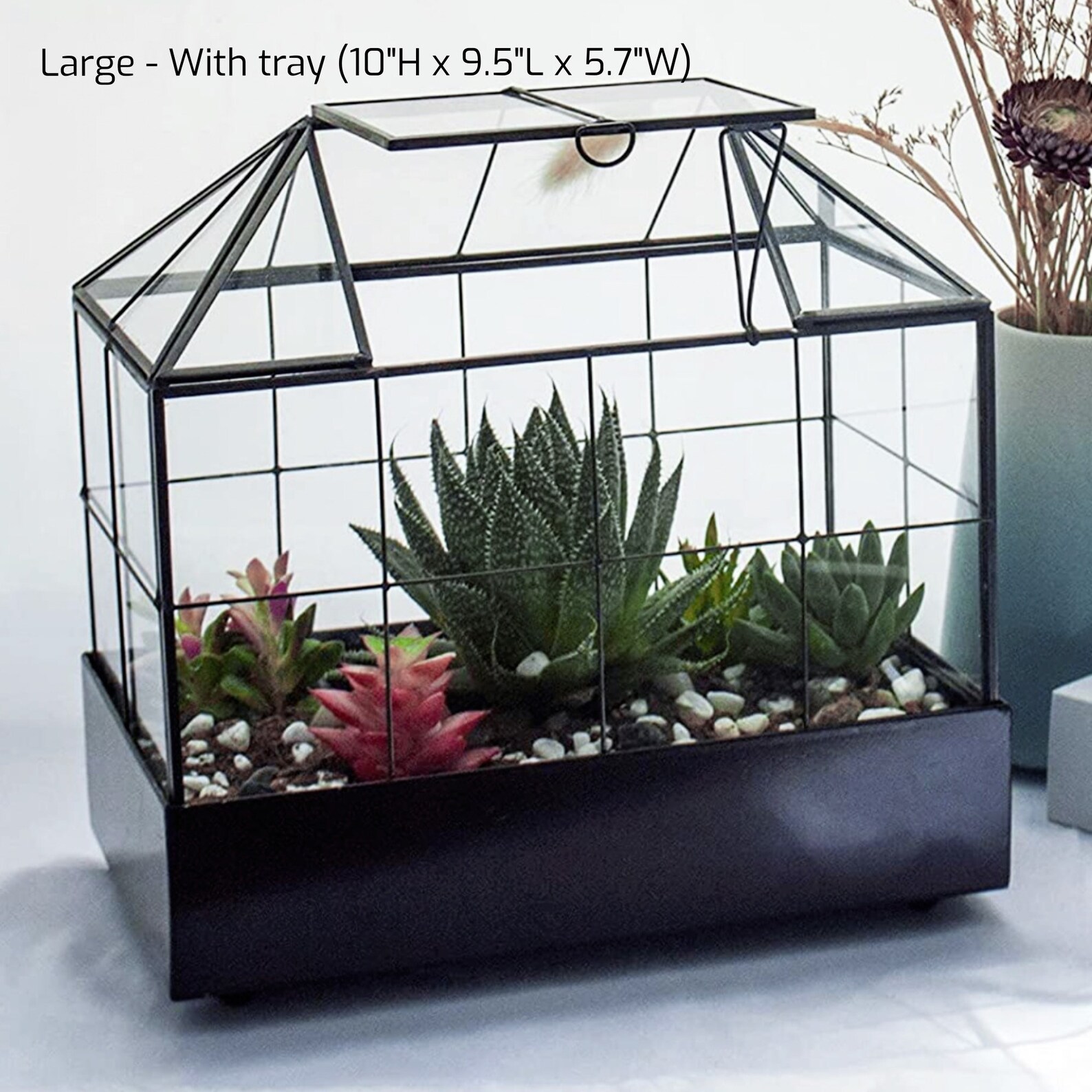 Large Glass Terrarium Containers With Lid Victorian Closed | Etsy