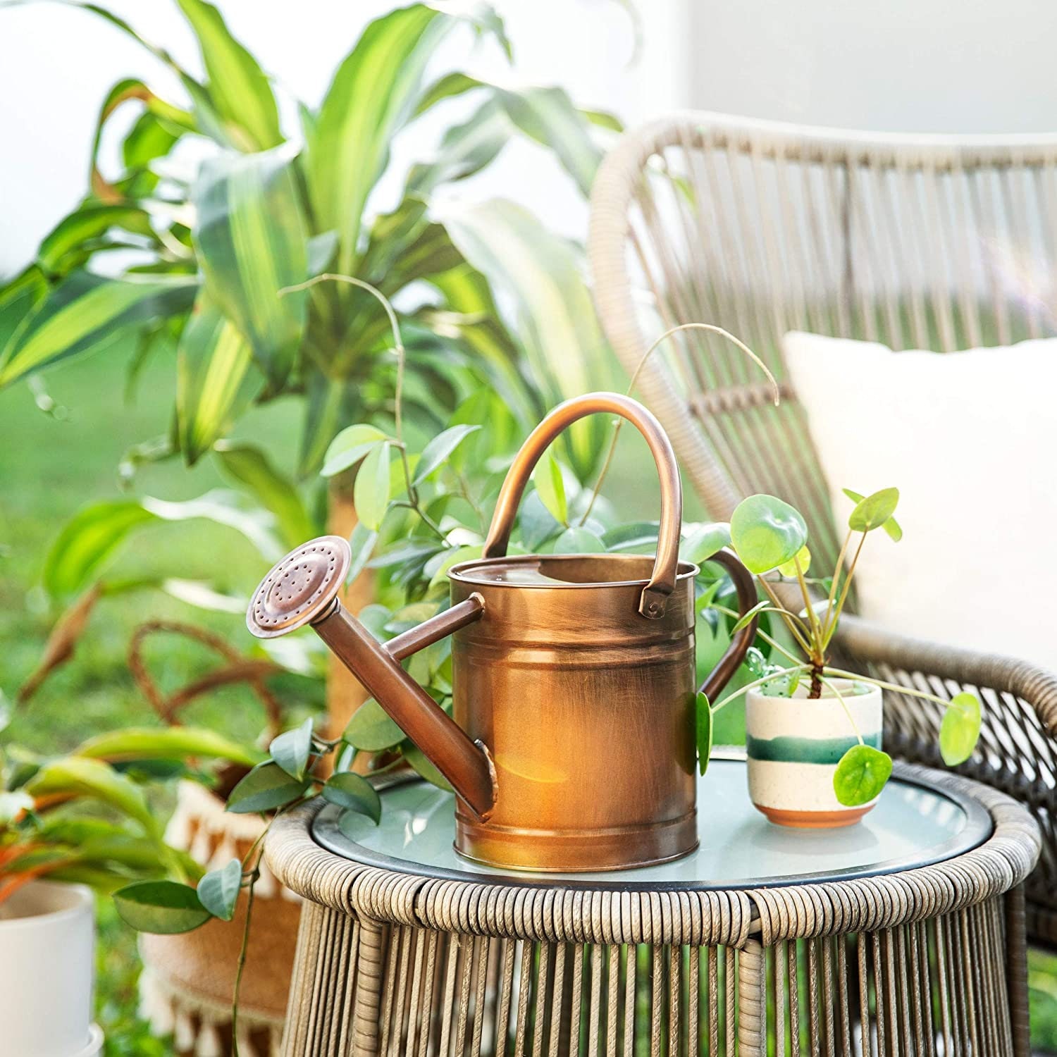 Cheap Galvanized Watering Cans