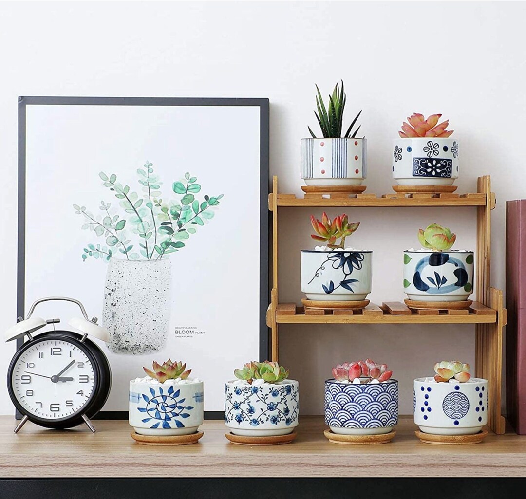 Japanese Succulent Ceramic Planter With Drainage and Saucer Ceramic ...