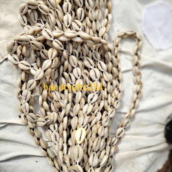 Cowrie Shells - Etsy