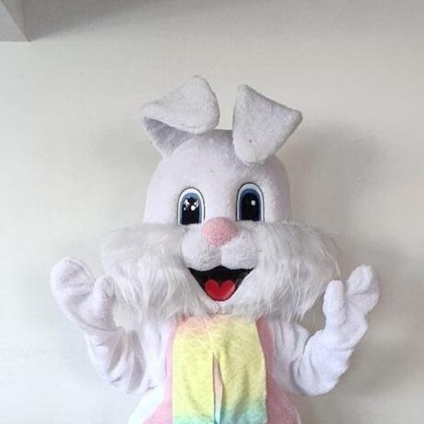 Professional Easter Bunny Costume - Etsy