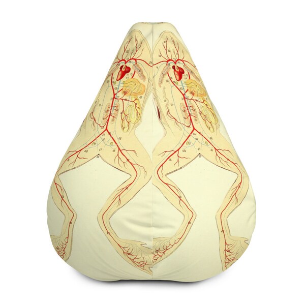 Frog Bean Bag - Etsy