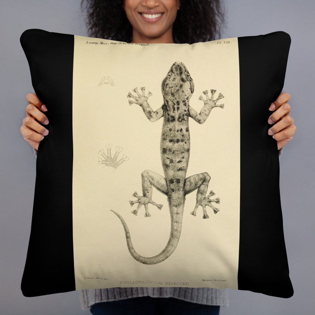 Vintage Lizard Gecko Natural History Cushion Throw Pillow - Etsy