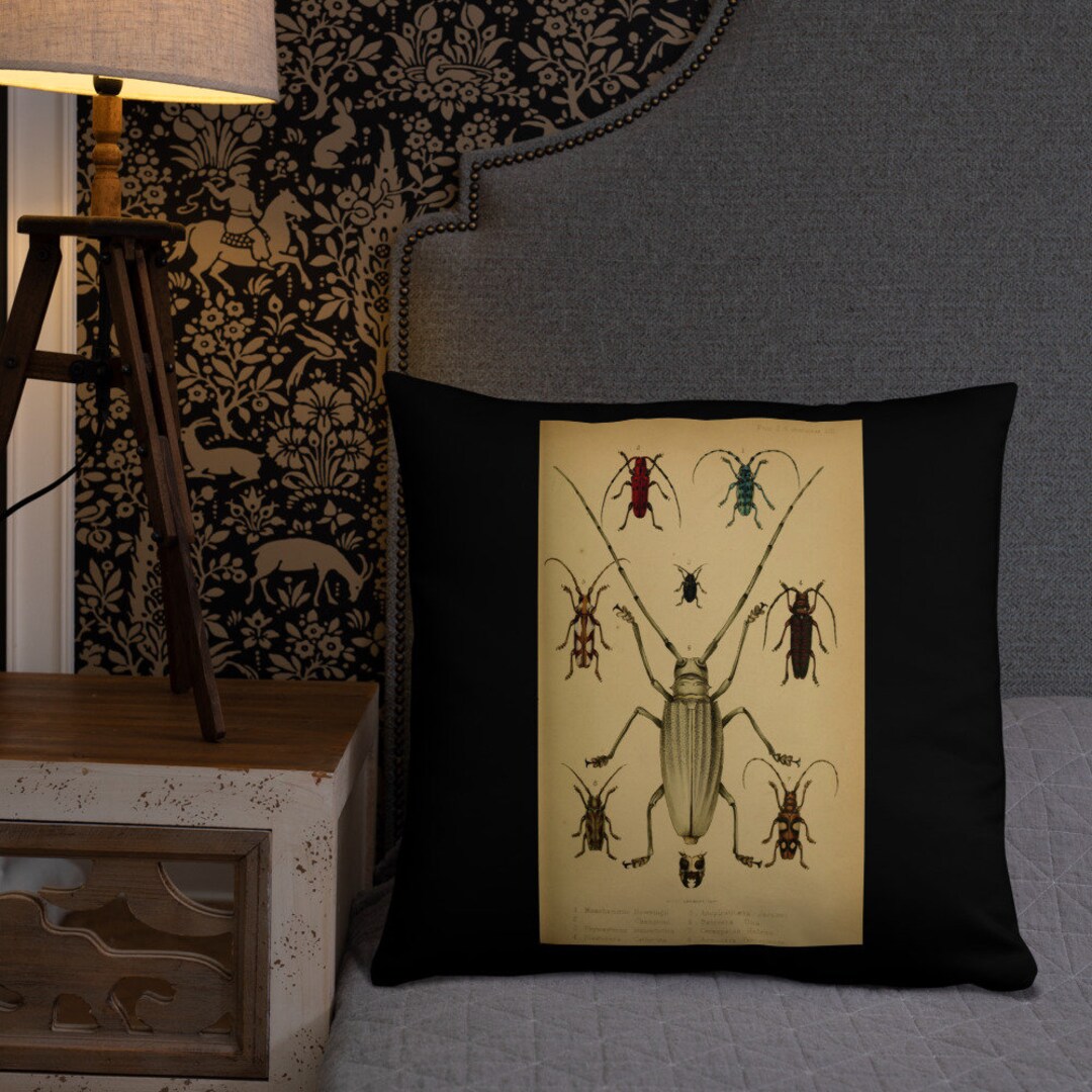 Vintage Cockroach Insect Cushion Throw Pillow - Etsy