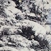 Anheuser Busch Budweiser "grab Some Buds" Large Cardboard Holiday ...