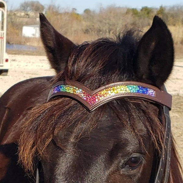 Browbands for Horses - Etsy