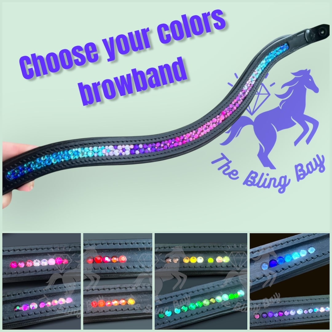Custom Bling Crystal Browband - Pink Purple Orange Green Red Blue Black ...