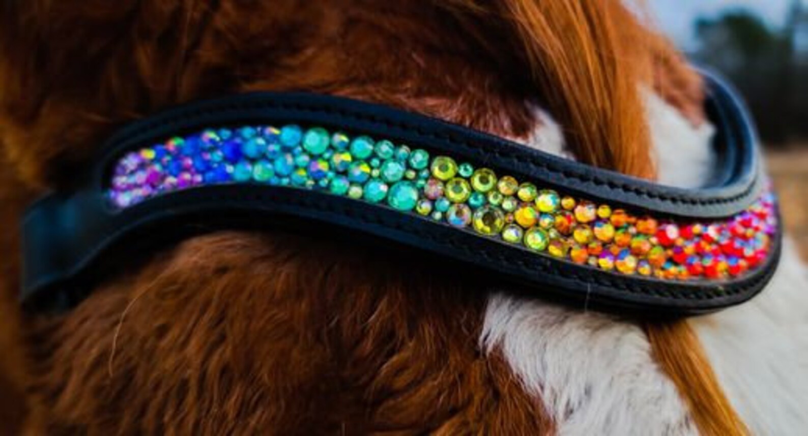 Rainbow Browband Bling Browband for Horses Western - Etsy