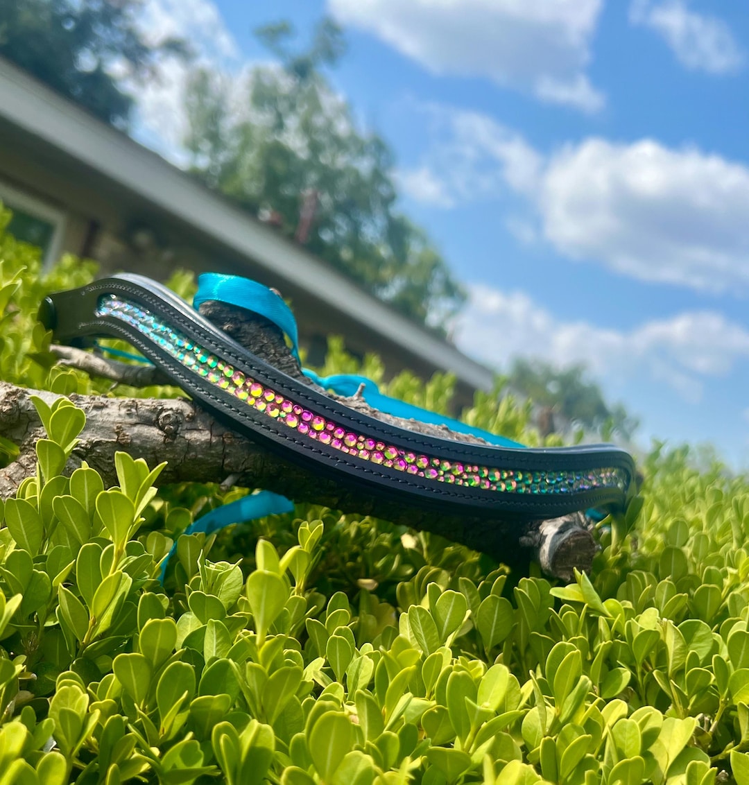 Magic Rainbow Browband - Color Changing Browband - Horse Girl Gift ...