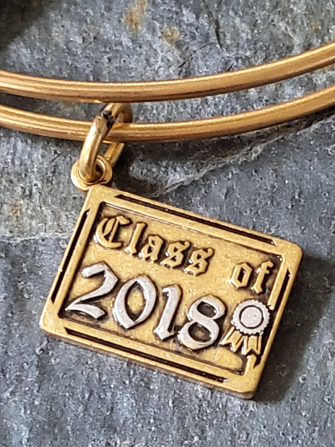 Alex and Ani Class is 2018 Charm Bangle Bracelet - Etsy
