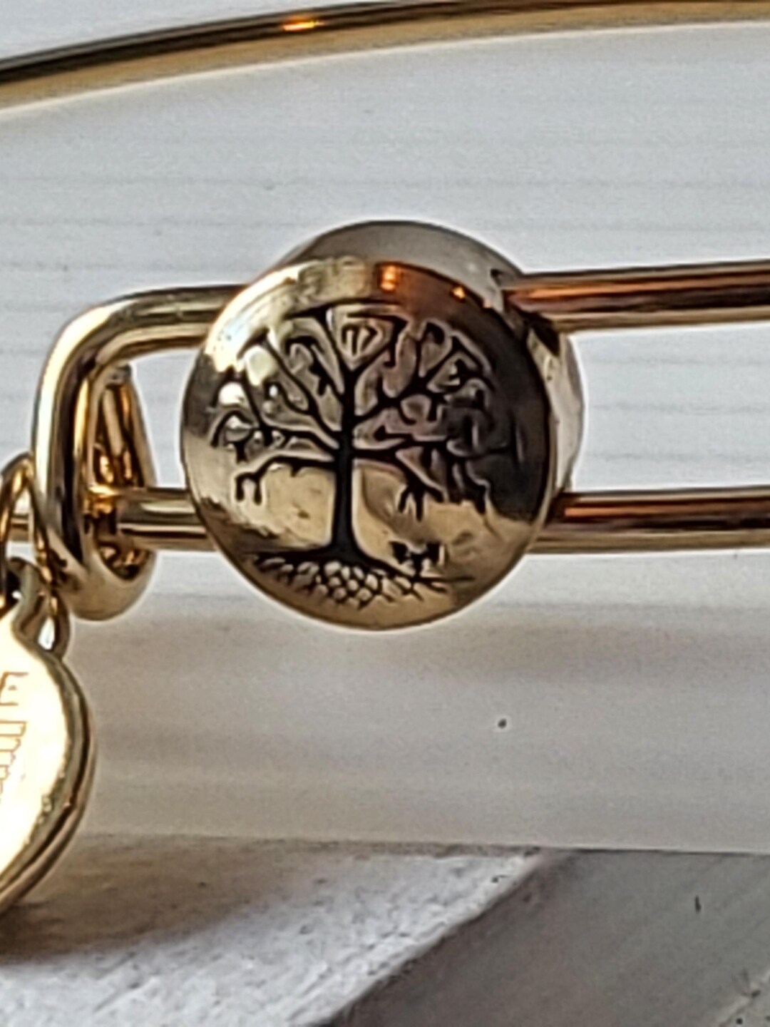 Alex and Ani Tree of Life Slider Bangle Bracelet - Etsy