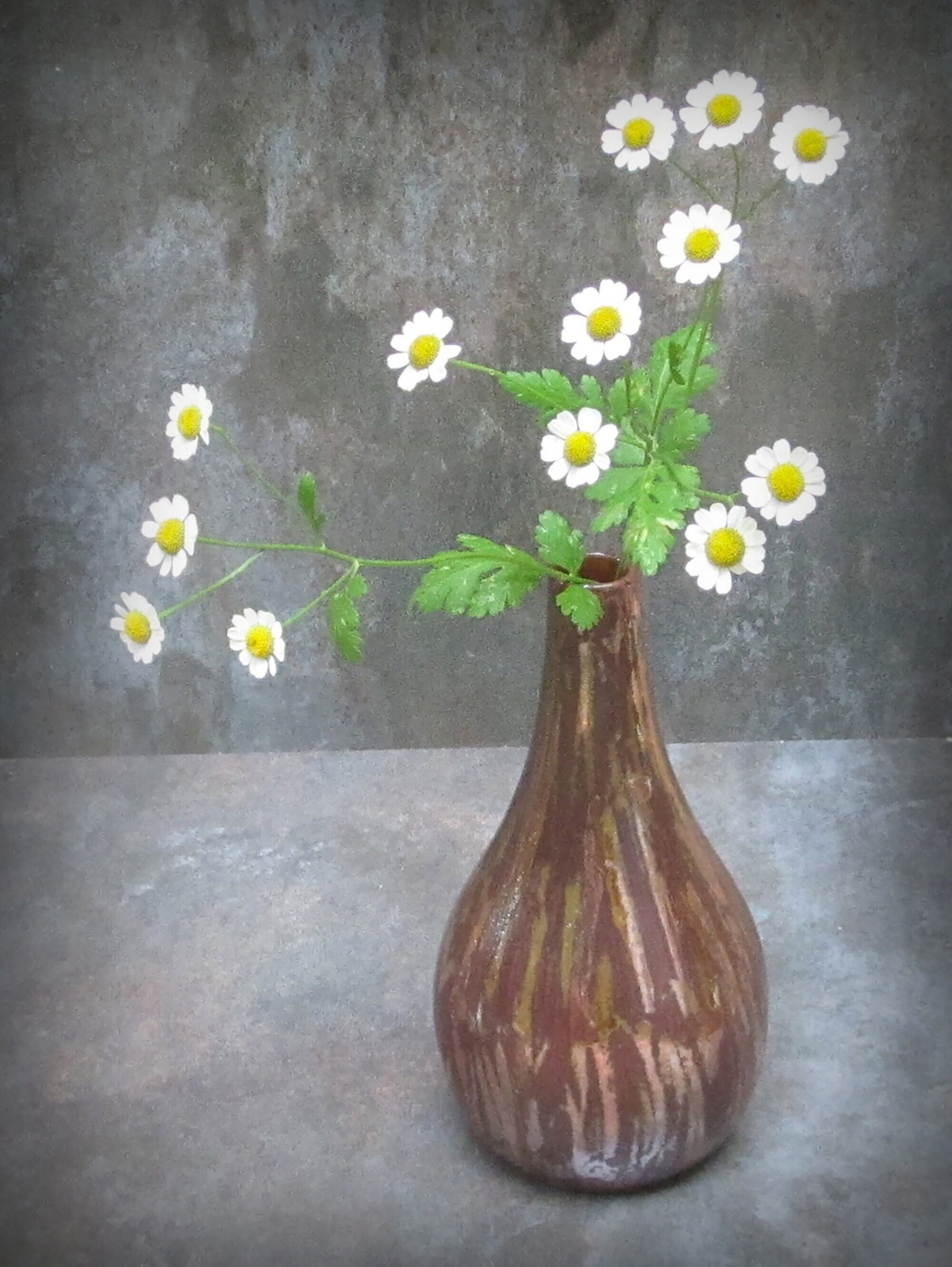 Handmade Ceramic Vase for Flowershandpainted Vaserustic Clay - Etsy