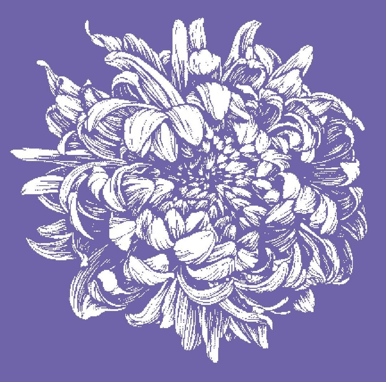 White Aster Flower Cross Stitch Pattern - Etsy