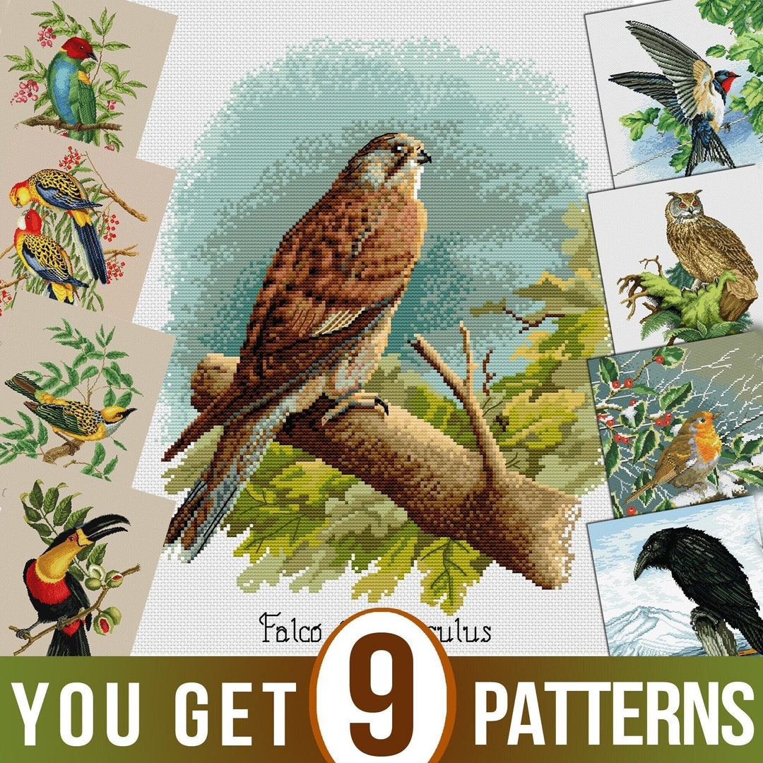 9 Cross-stitch Bird Patterns Bundle, Crow, Owl, Robin, Kestrel, Counted ...