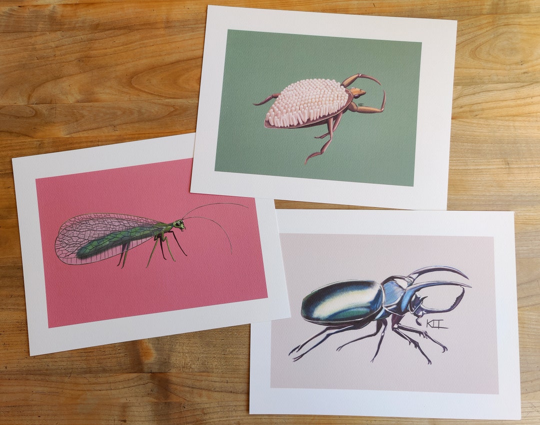 Insect Art Prints - Art Print on Aquarelle Paper 27*35cm / 10.6"*13.8 ...