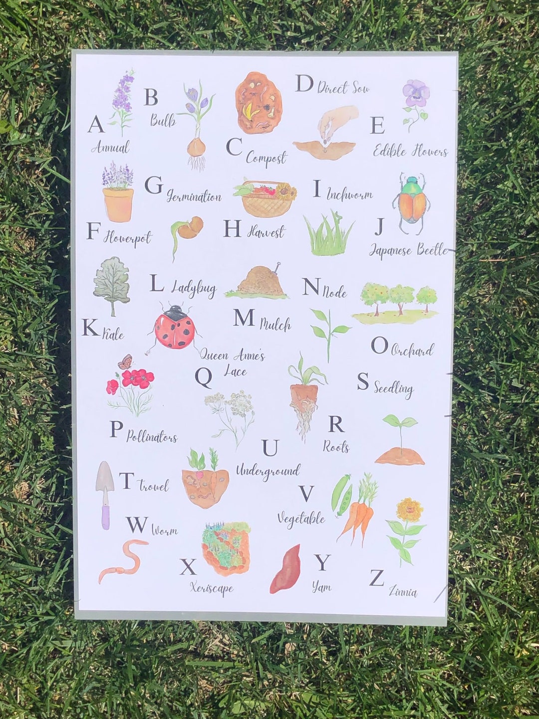 Garden ABC 12"x18" Nursery Print, Nature Alphabet Wall Art, Watercolor ...
