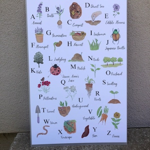 Garden ABC 12"x18" Nursery Print, Nature Alphabet Wall Art, Watercolor ...