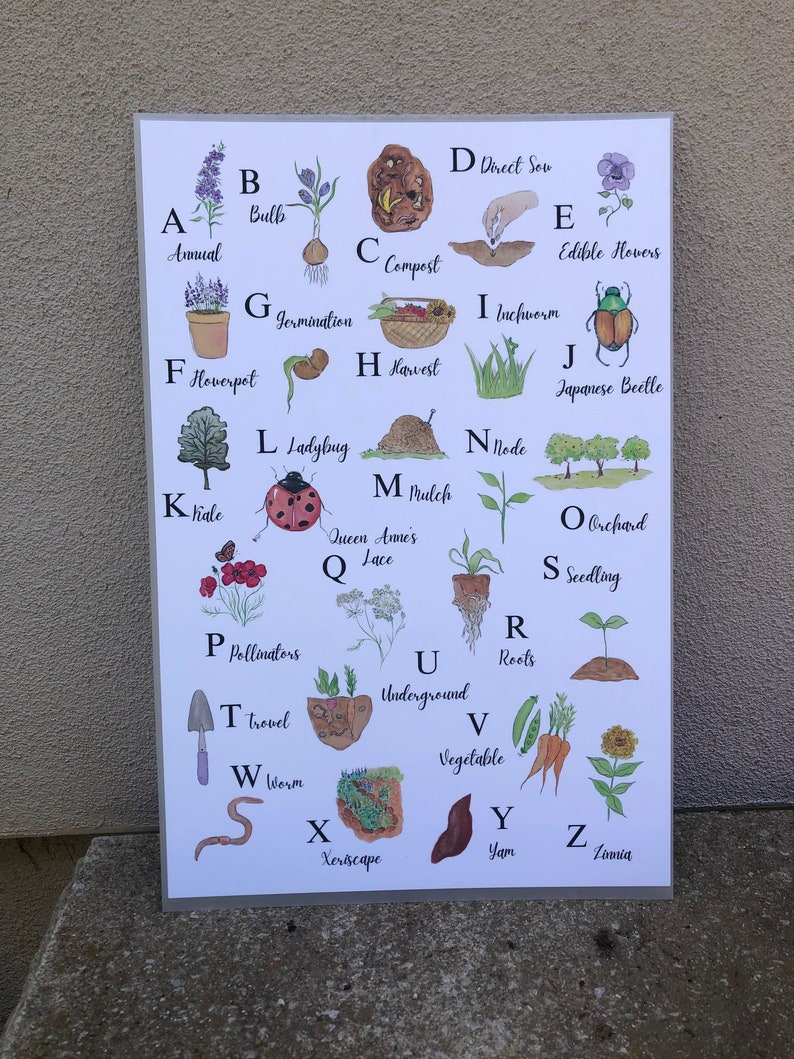 Garden ABC 12"x18" Nursery Print, Nature Alphabet Wall Art, Watercolor ...