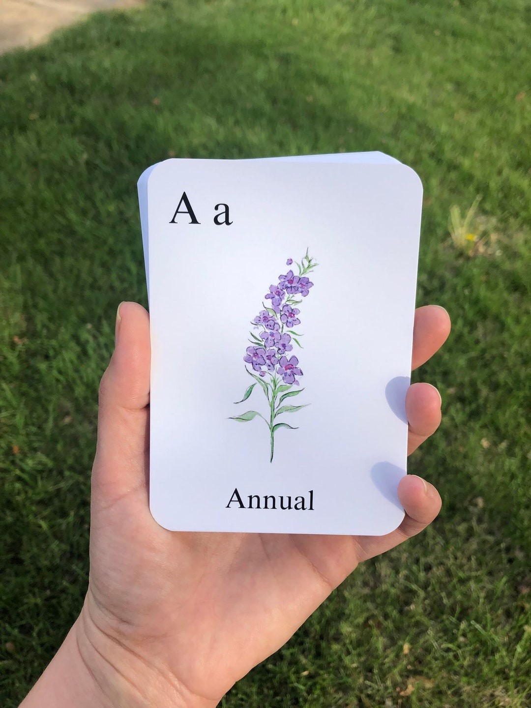 Digital Download Garden ABC Cards I Montessori Learning Cards I Nature ...