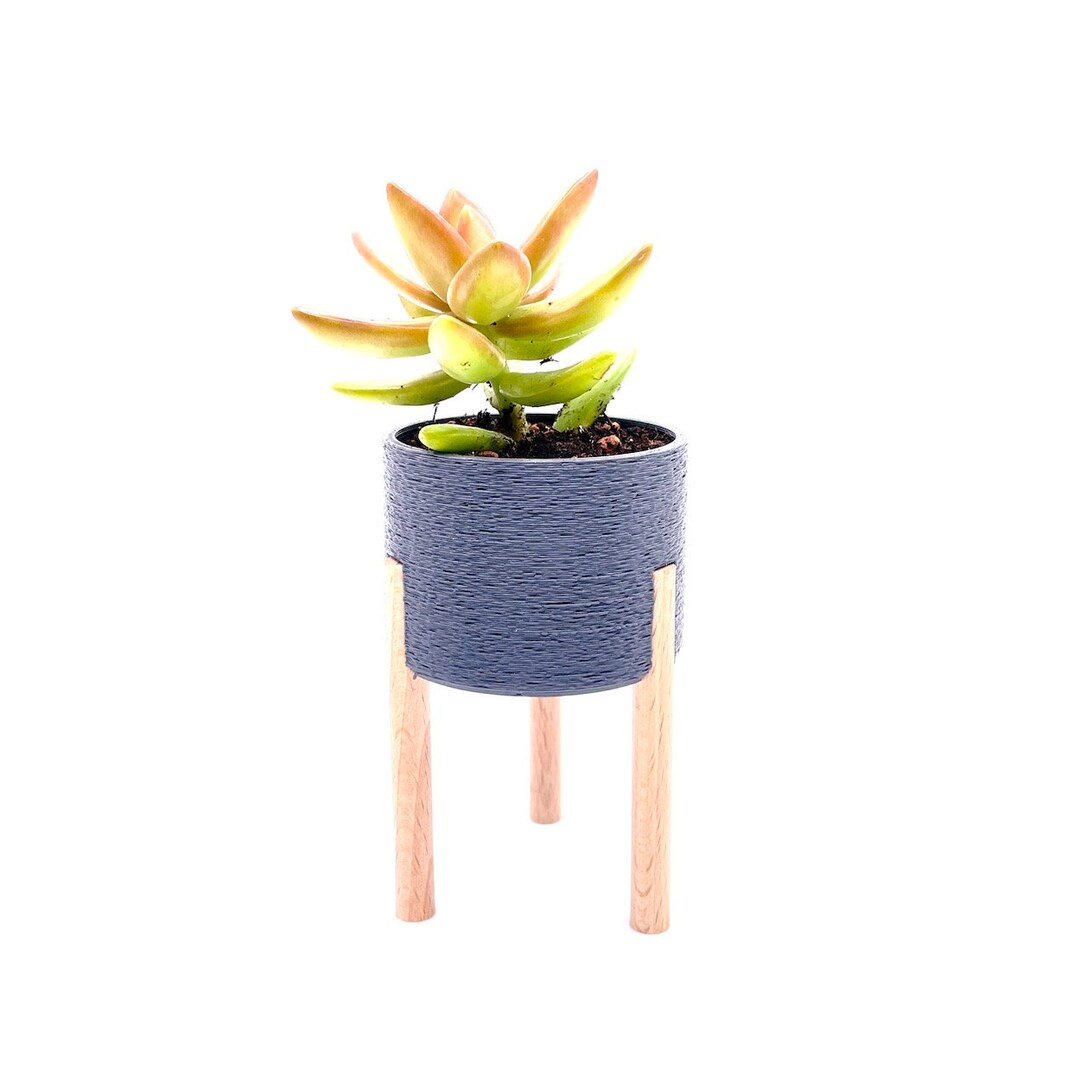 Succulent and Cactus Plant Pot, Flower Pot on Stilts With Structured ...