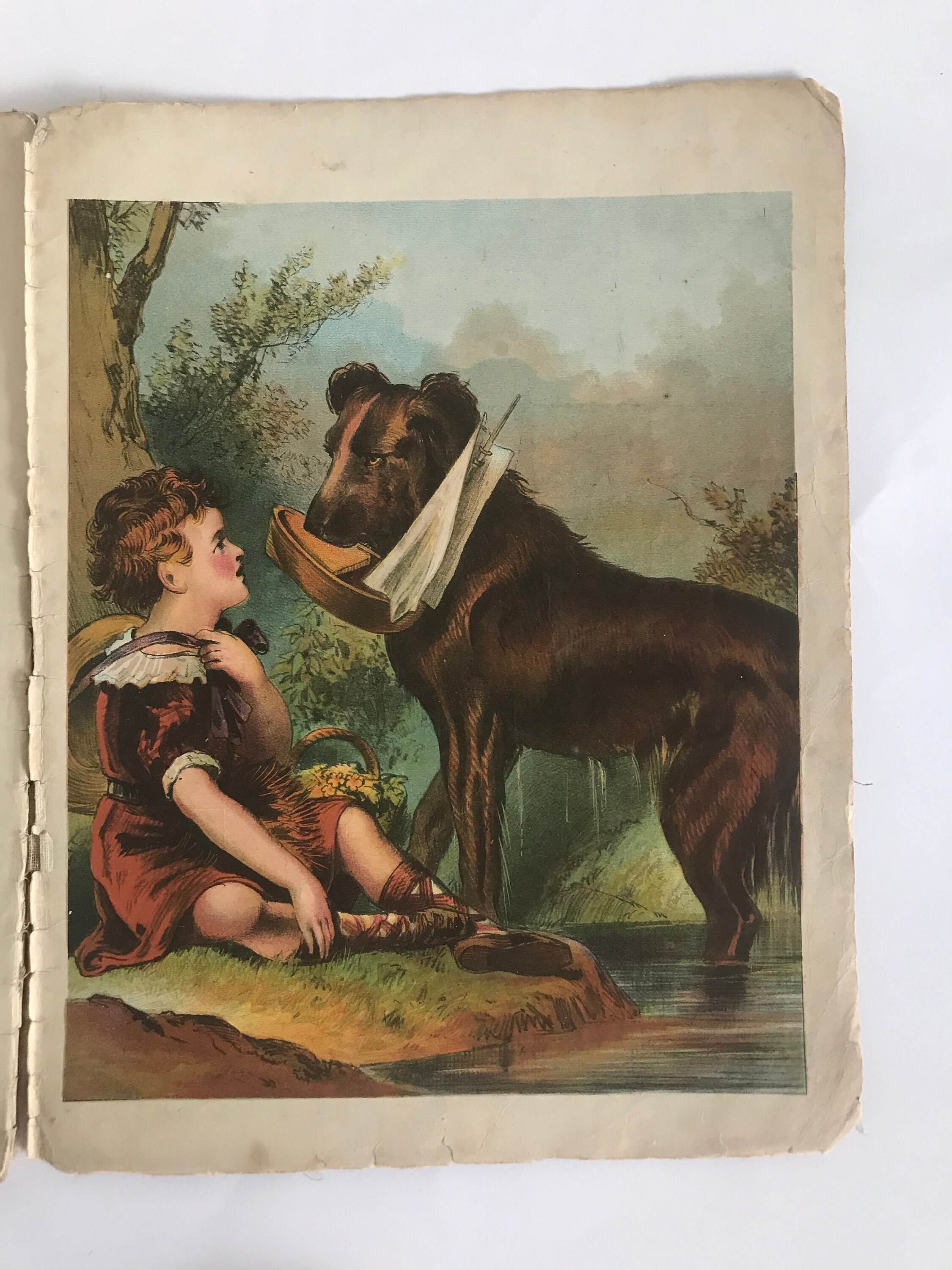 Collection of Poems on Dogs - Etsy