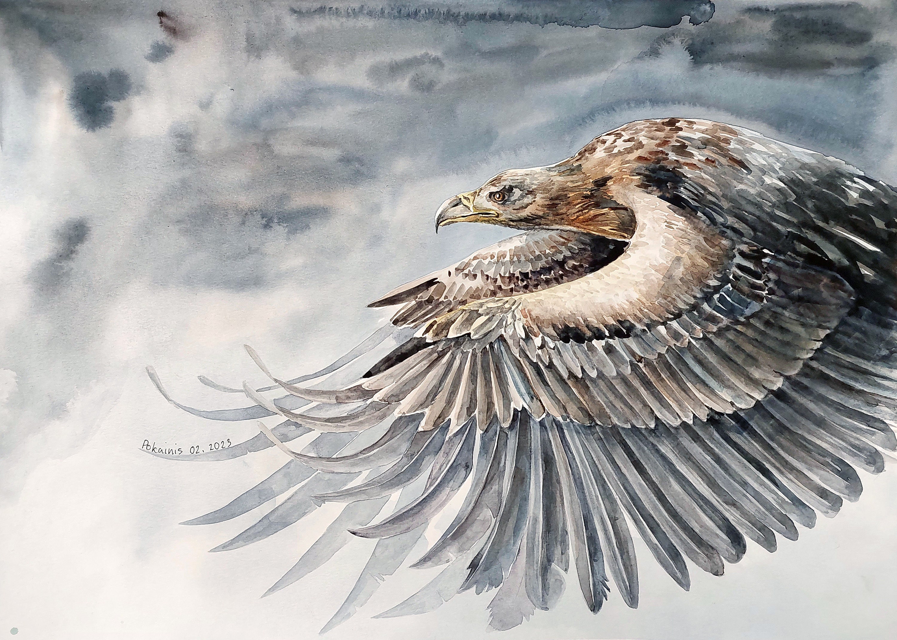 Flying Hawk Painting