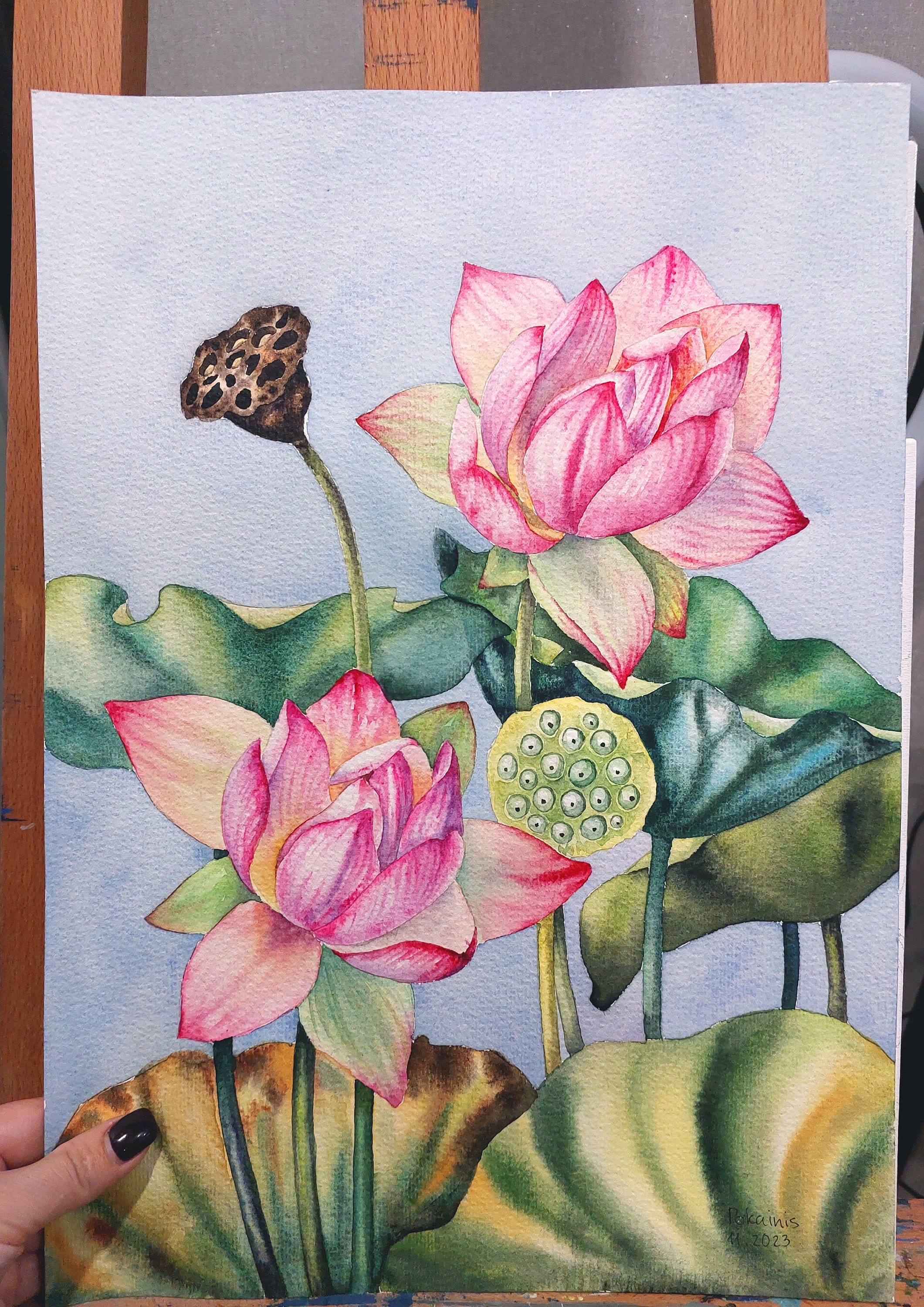 Realistic Lotus Flower Drawings
