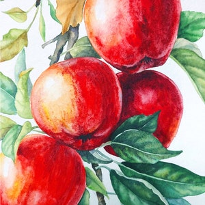 ORIGINAL Watercolor Painting, Apple Wall Art, Red Apple Painting, Fruit ...