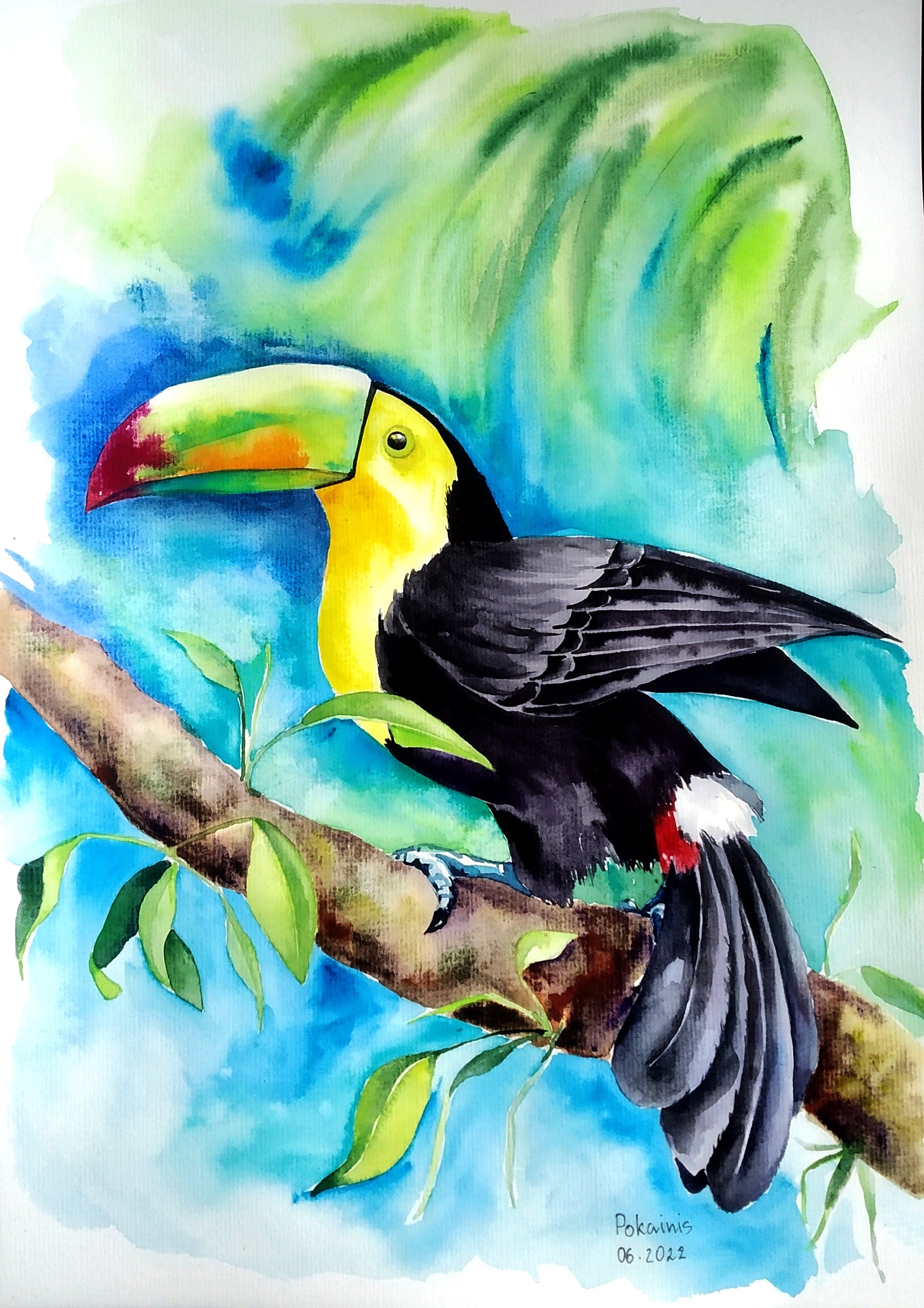 Toucan Painting