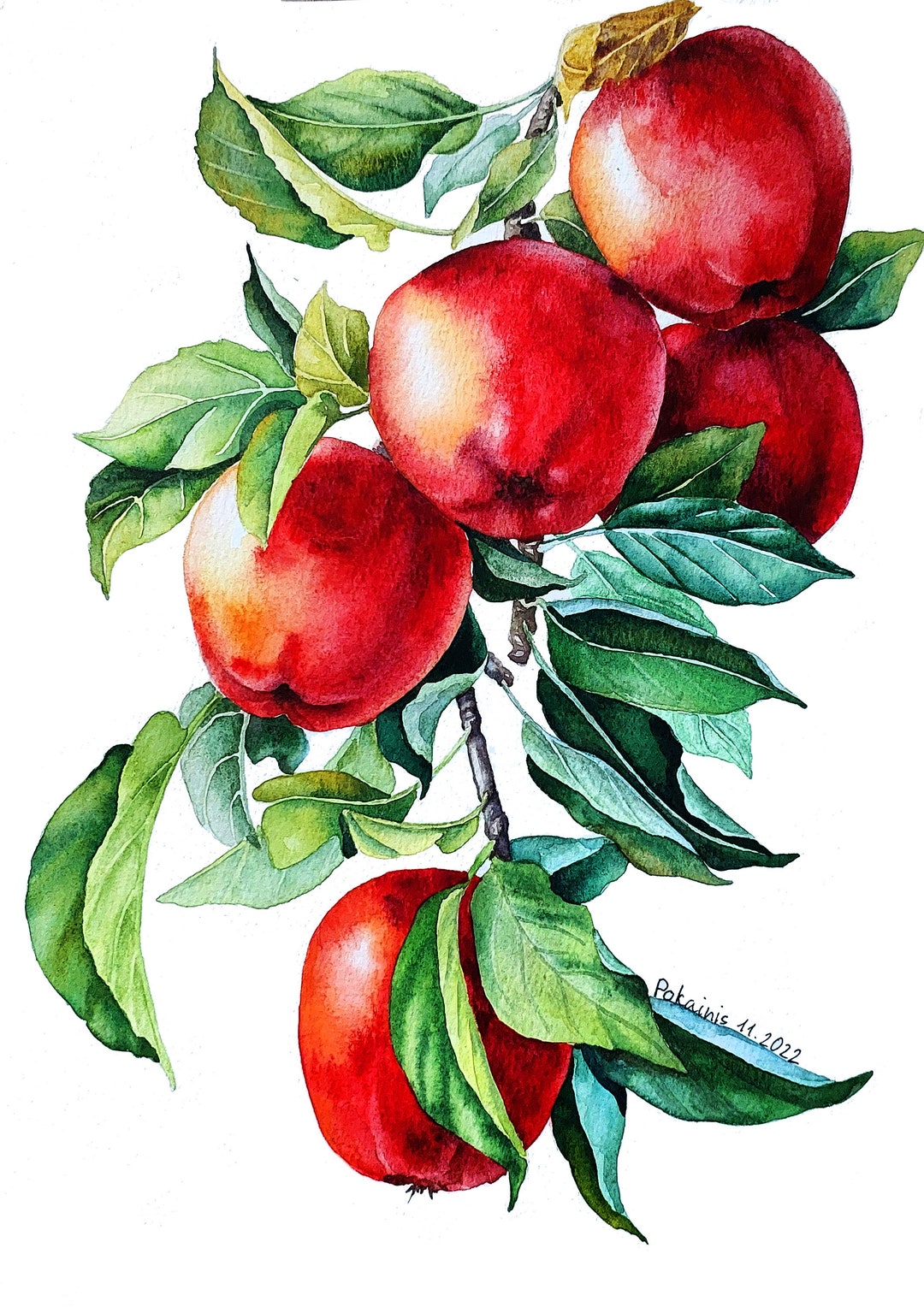 ORIGINAL Watercolor Painting Apple Wall Art Red Apple - Etsy