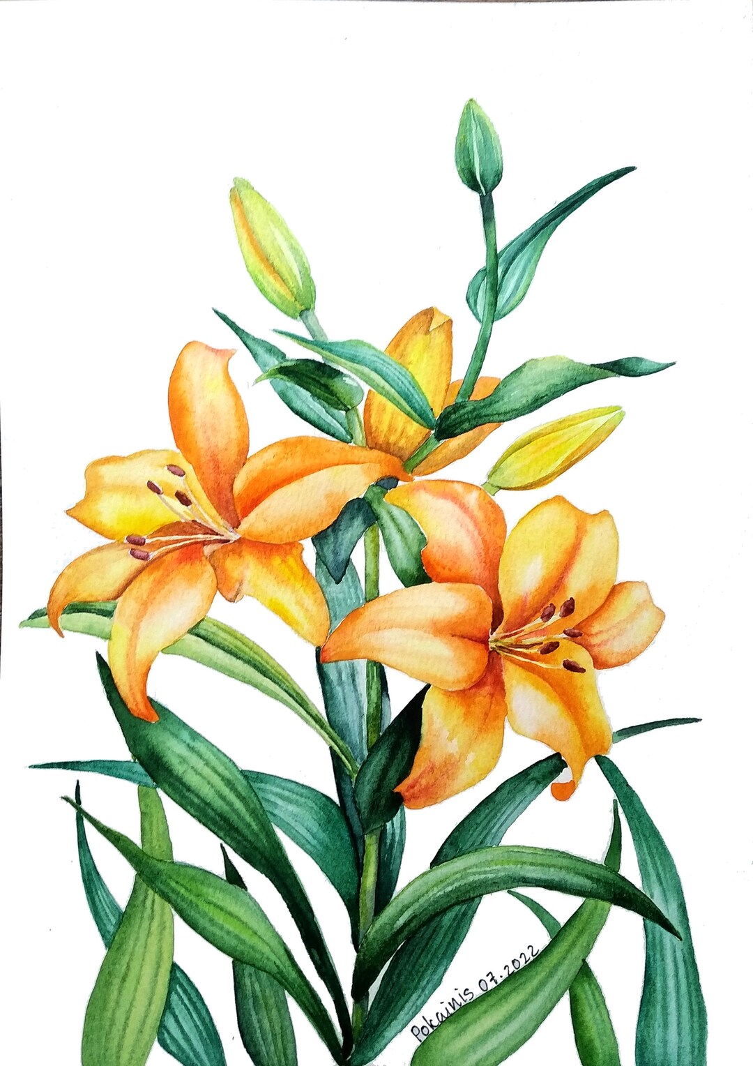 Lily Watercolor Painting, Floral Still Life, Flower Painting, Lily Wall ...