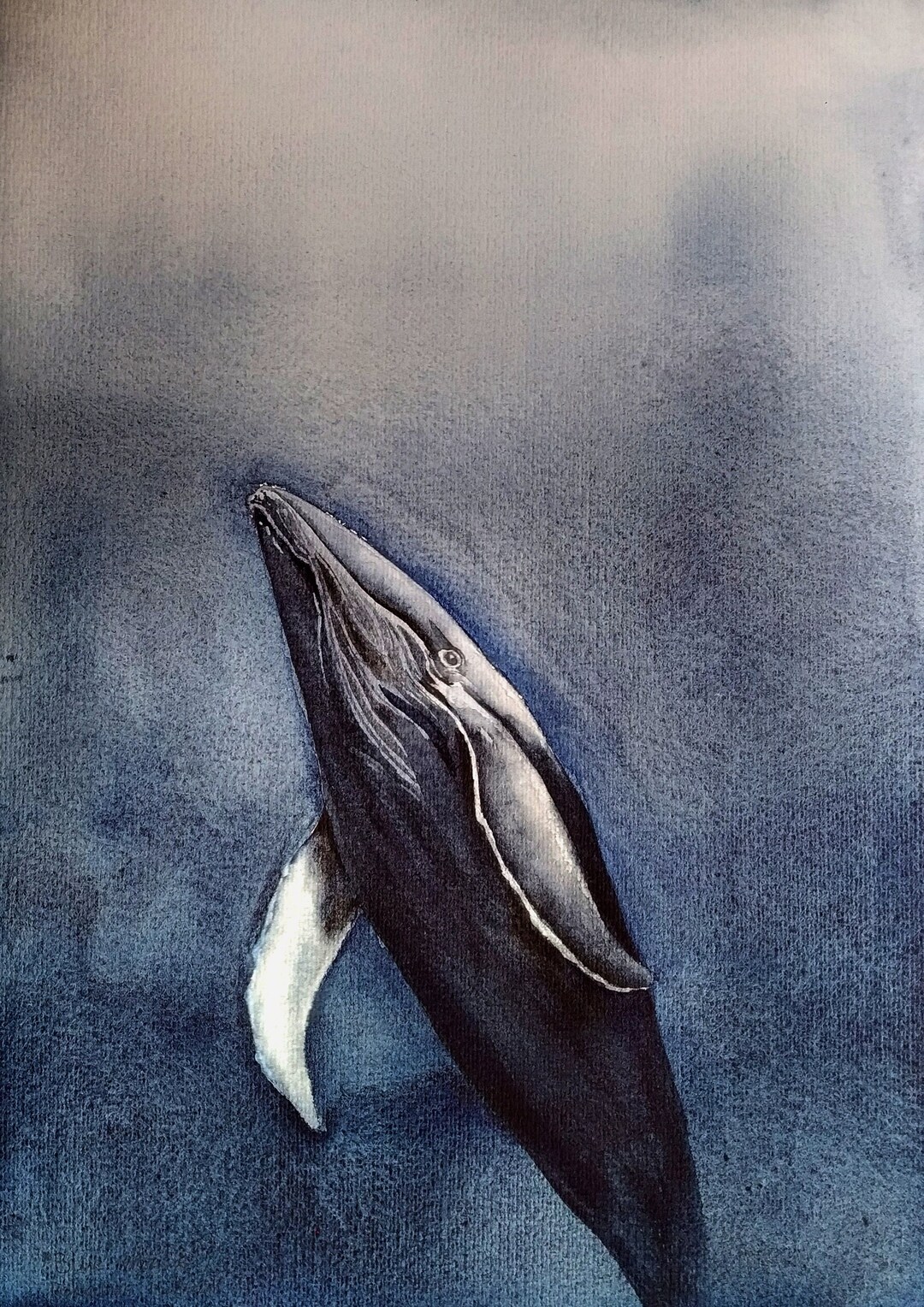 Hump Back Whale Watercolor Original Artwork, Underwater Painting, Ocean ...