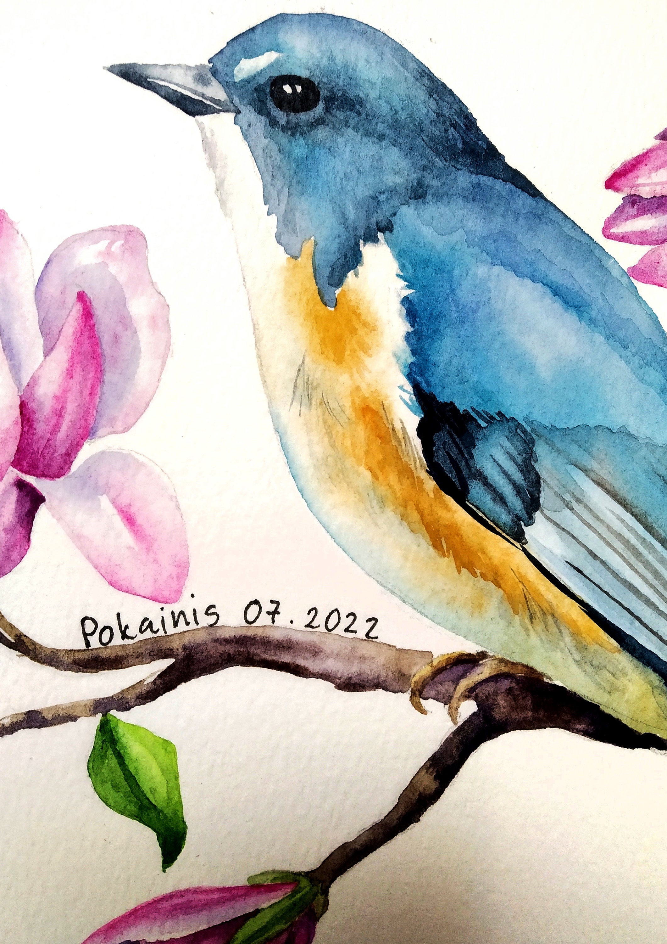 Easy Watercolor Paintings Of Birds