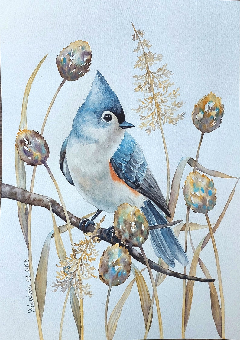 ORIGINAL Watercolor Painting Bird Wall Art Tufted Titmouse - Etsy