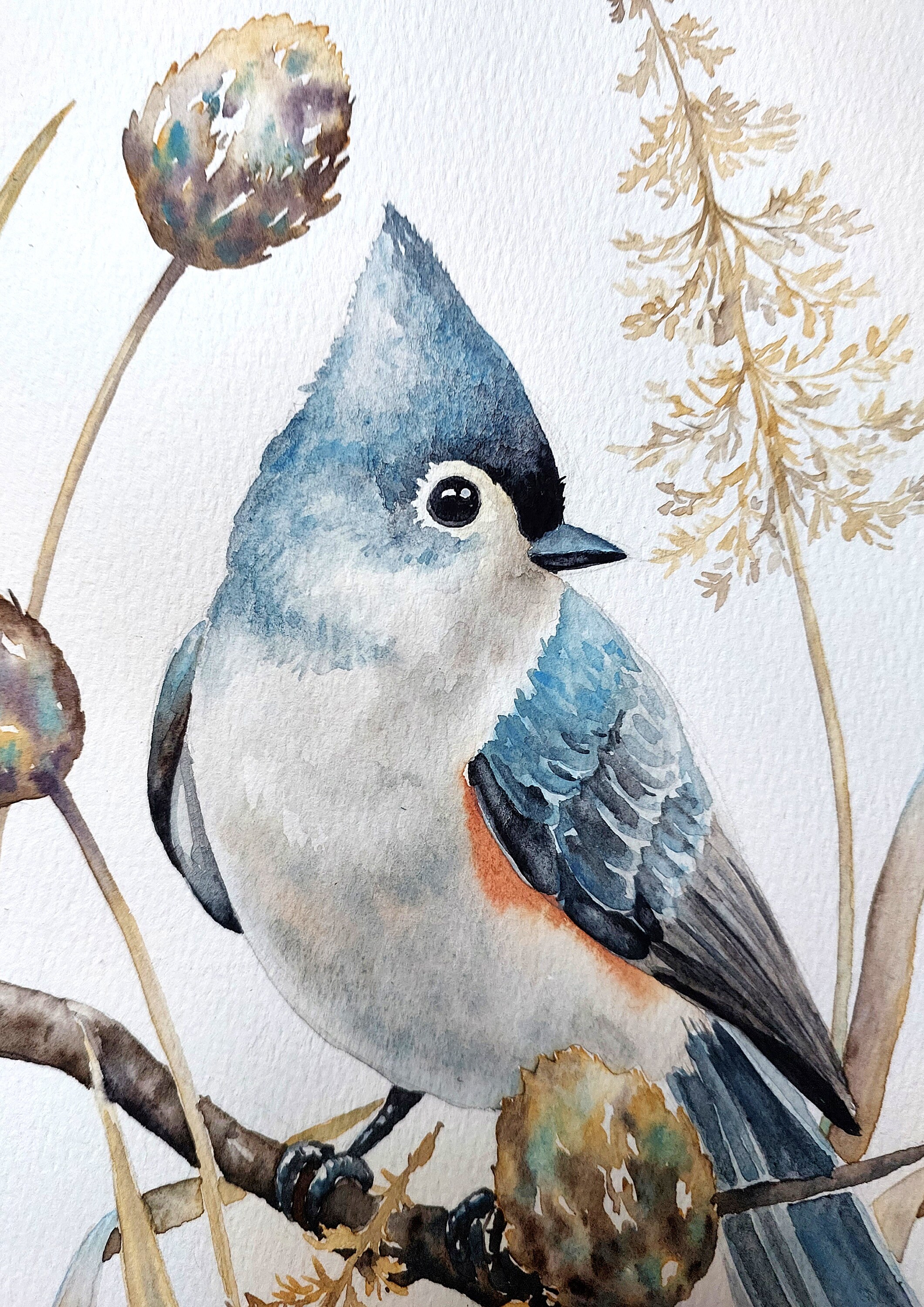 Tufted Titmouse Bird Watercolor Painting, Original A4 Art - Etsy
