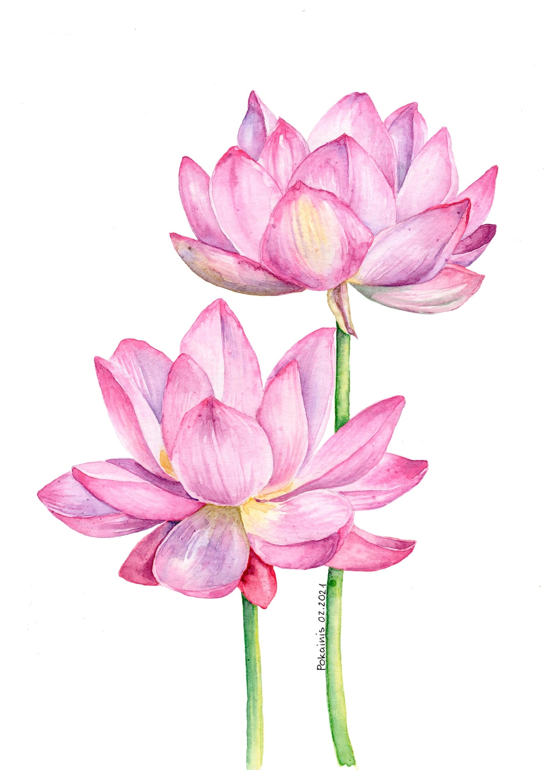 Lotus Original Watercolor Painting Water Lily Artwork, Botanical Wall ...