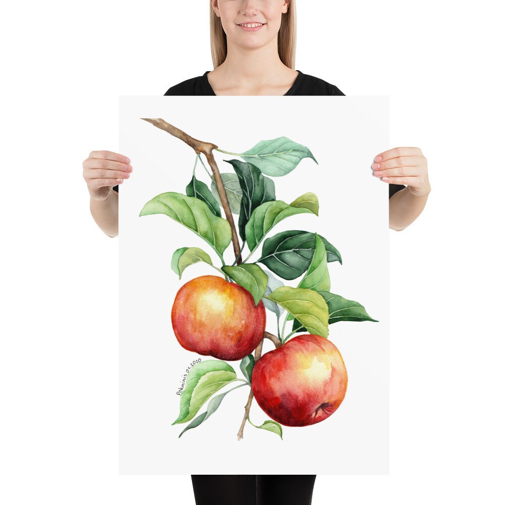 Apfeldruck, Obst Poster, Apfel Aquarell, roter Apfel Gemälde, Obst ...
