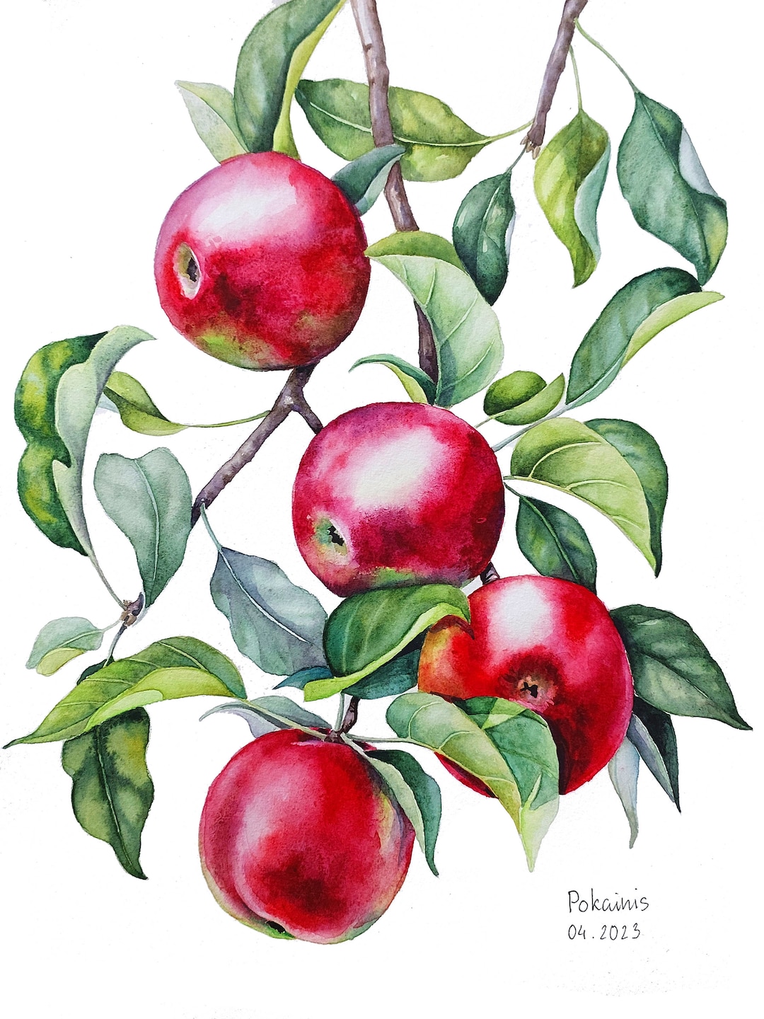 ORIGINAL Watercolor Painting, Apple Artwork, Red Apple Painting, Fruit ...