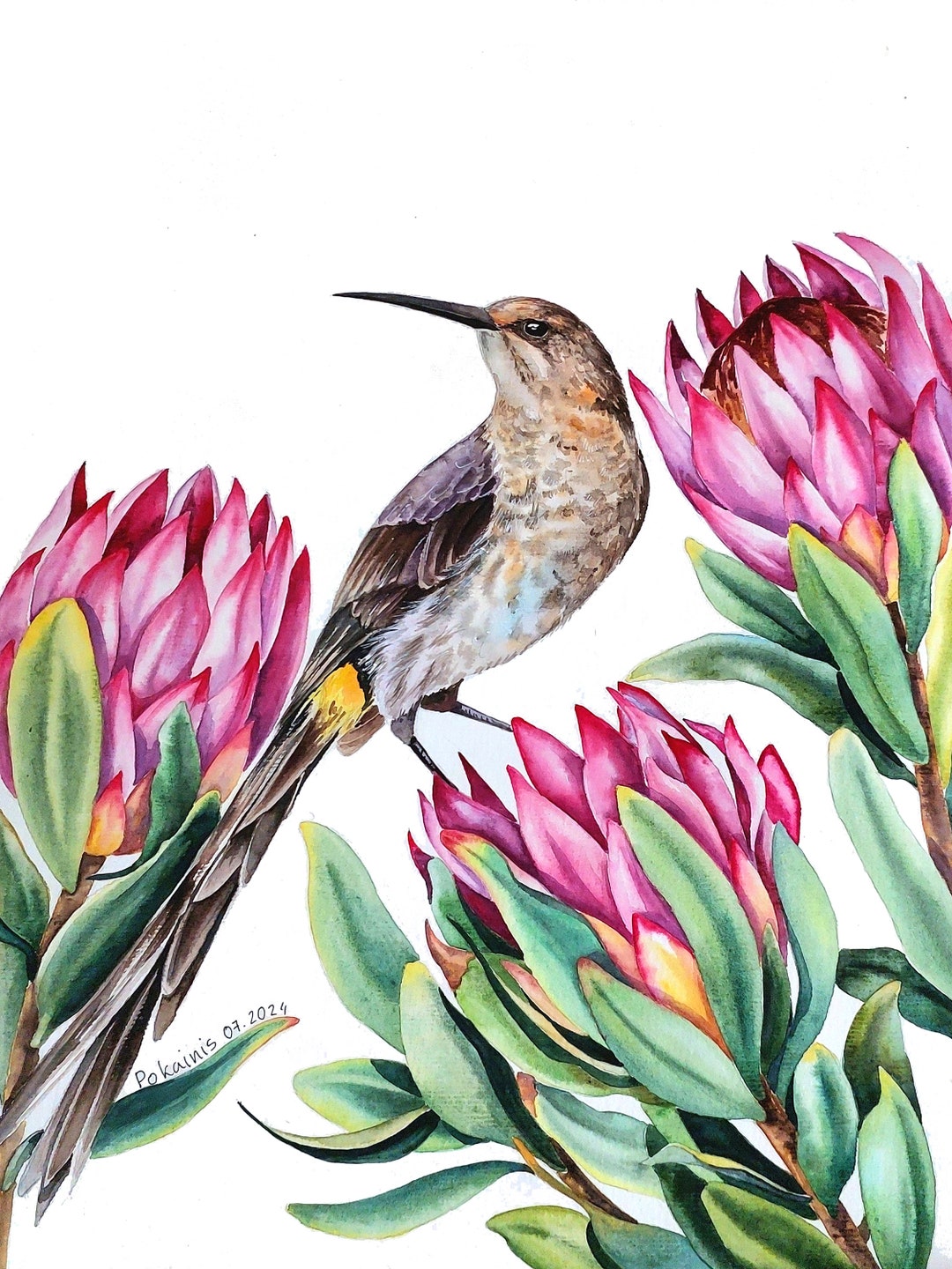 Original Watercolor Exotic Bird Painting, Wild Bird on a Flower Fine ...