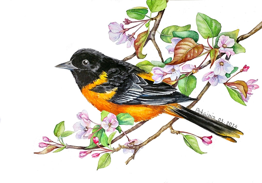 Bird Original Watercolor Painting, Birds and Flowers Painting ...