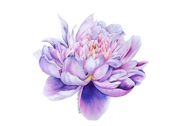 Watercolor Single Flower