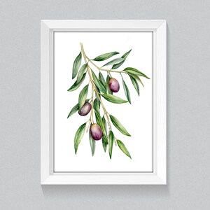 Olive Watercolor Print, Olive Wall Art, Food Illustration, Greece ...