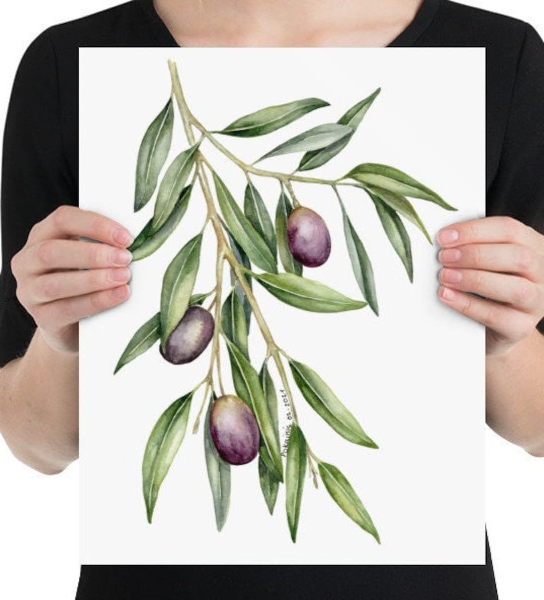 Olive Watercolor Print, Olive Wall Art, Food Illustration, Greece ...