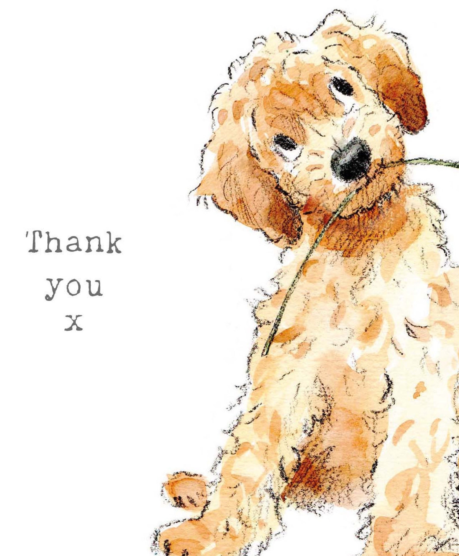 Thank You Card Quality Greeting Card Charming Dog | Etsy