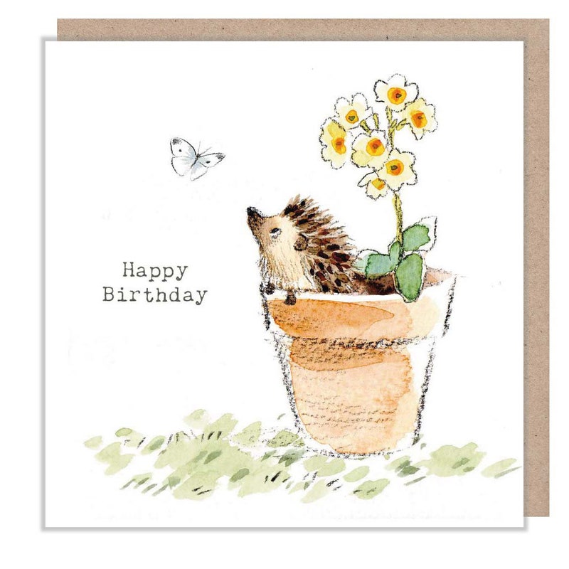 Hedgehog Cards - Etsy
