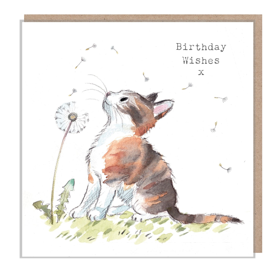 Cat Birthday Card - Quality Greeting Card - Charming Illustration ...