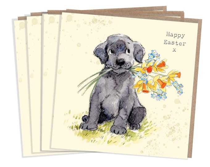 Paper Shed Design - Quality Greeting Cards